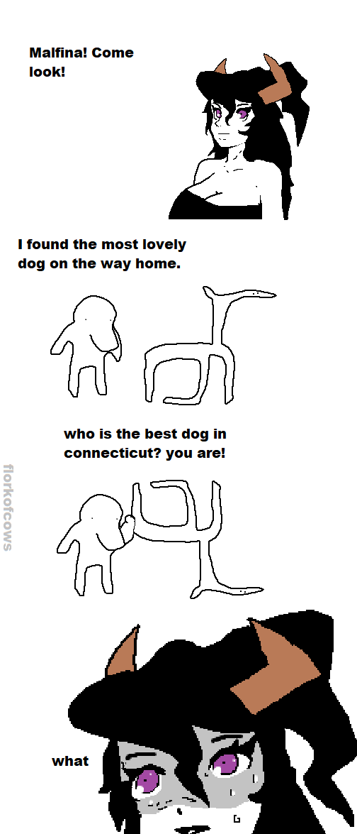Connecticut dog - Florkofcows